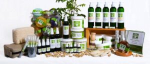 10 Interesting Facts and Information About the Neem Tree